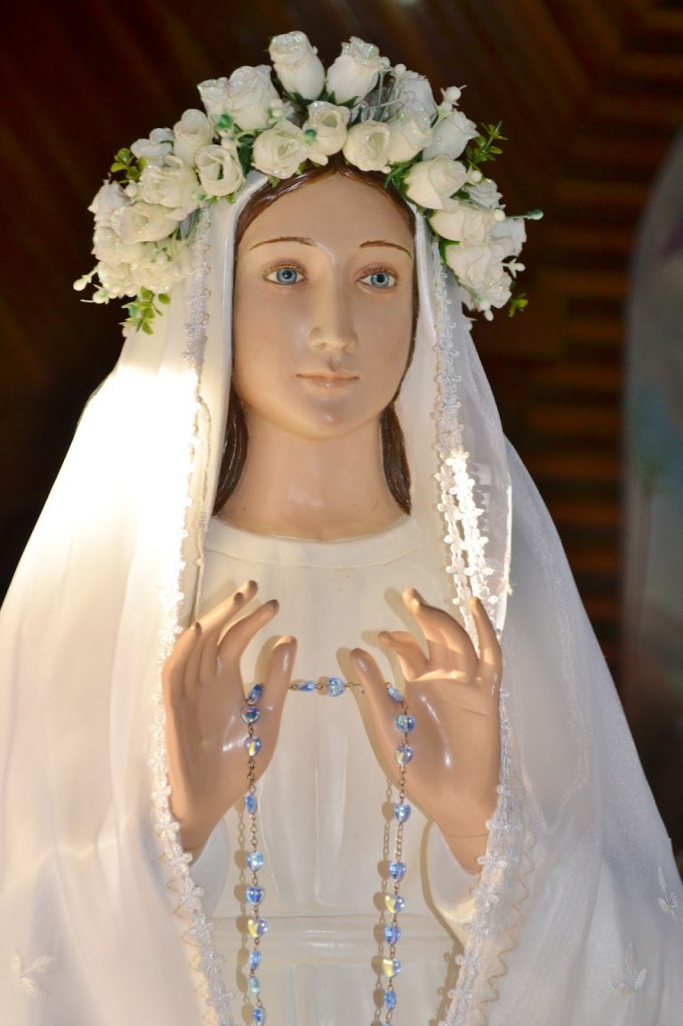 BEDEUTUNG DER ERSTEN FÜNF ERSCHEINUNGEN DER JUNGFRAU MARIA, DIE MARIA DO CARMO HATTE | drei ...